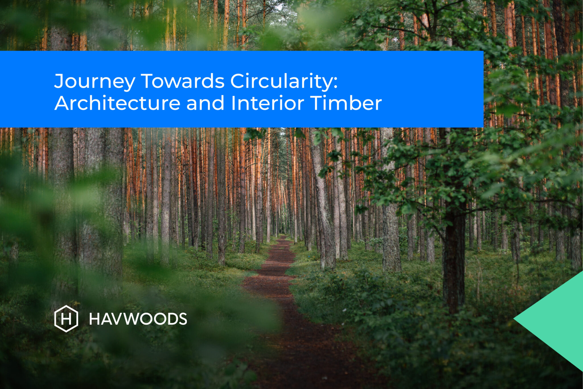 Journey Towards Circularity: Architecture and Interior Timber - CPD Online